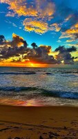Perto da praia, guarda-sóis de praia 