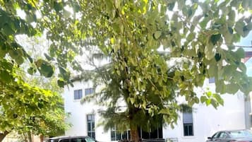 Fachada do alojamento