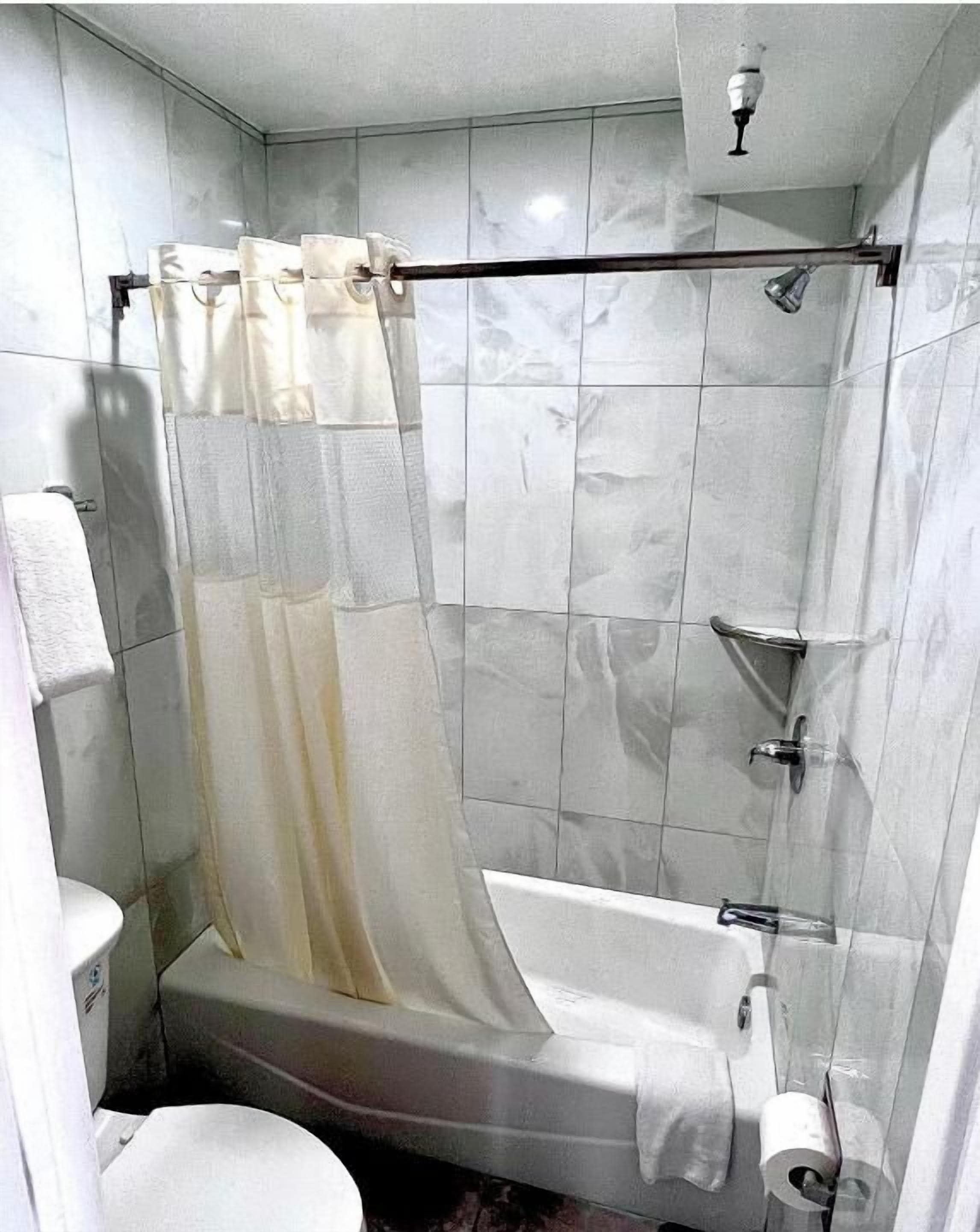 Casa de banho com chuveiro, sanita e um porta-toalhas.