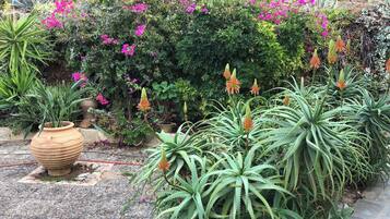 Villa, 2 quartos, varanda, vista para o jardim | Jardim