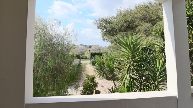 Visão pela janela de um jardim com caminhos, diversas plantas e um edifício ao longe.
