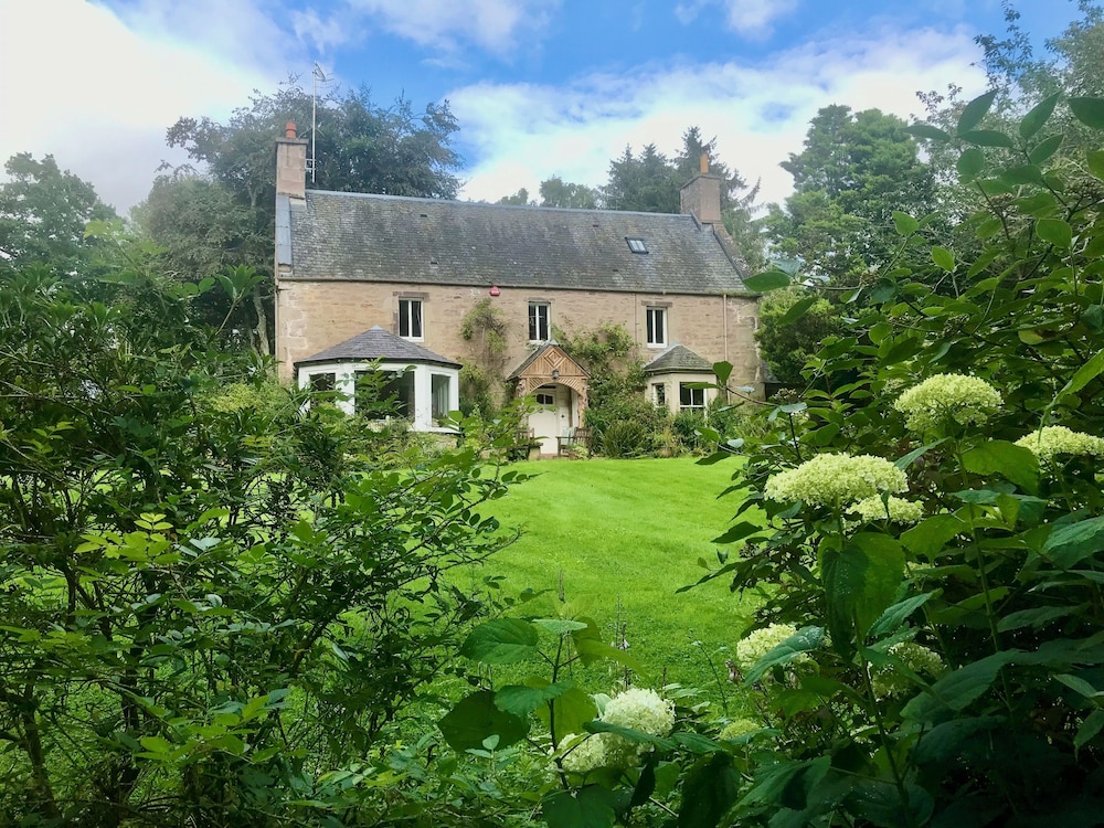 Organic Welltree - Fife