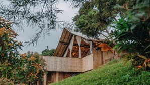 Um edifício moderno de madeira com telhado inclinado, cercado por vegetação exuberante e árvores.