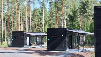 Uma fileira de cabanas modernas com grandes janelas, rodeadas por altas árvores de pinheiro.