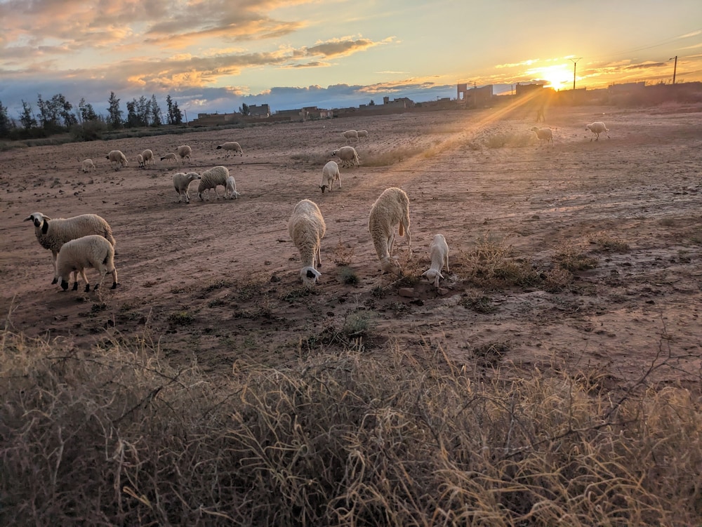 Atlas Farmhouse Marrakesh - Morocco