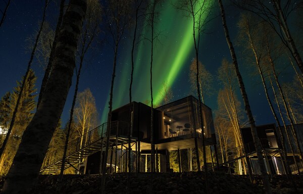 Silver Birch Resort - Lapland