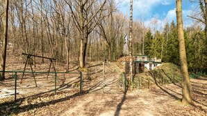 Uma área arborizada com uma trilha de terra que leva a um pequeno edifício com telhado verde.