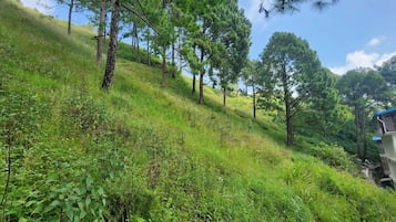 Vista da propriedade