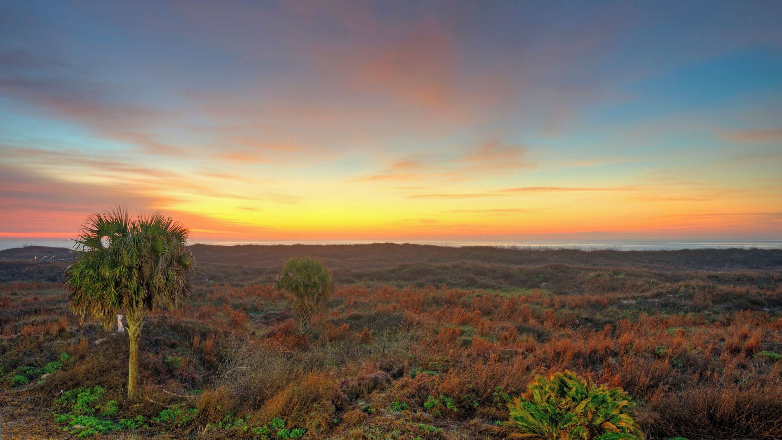 Paisagem costeira com pôr do sol, vegetação e horizonte distante.
