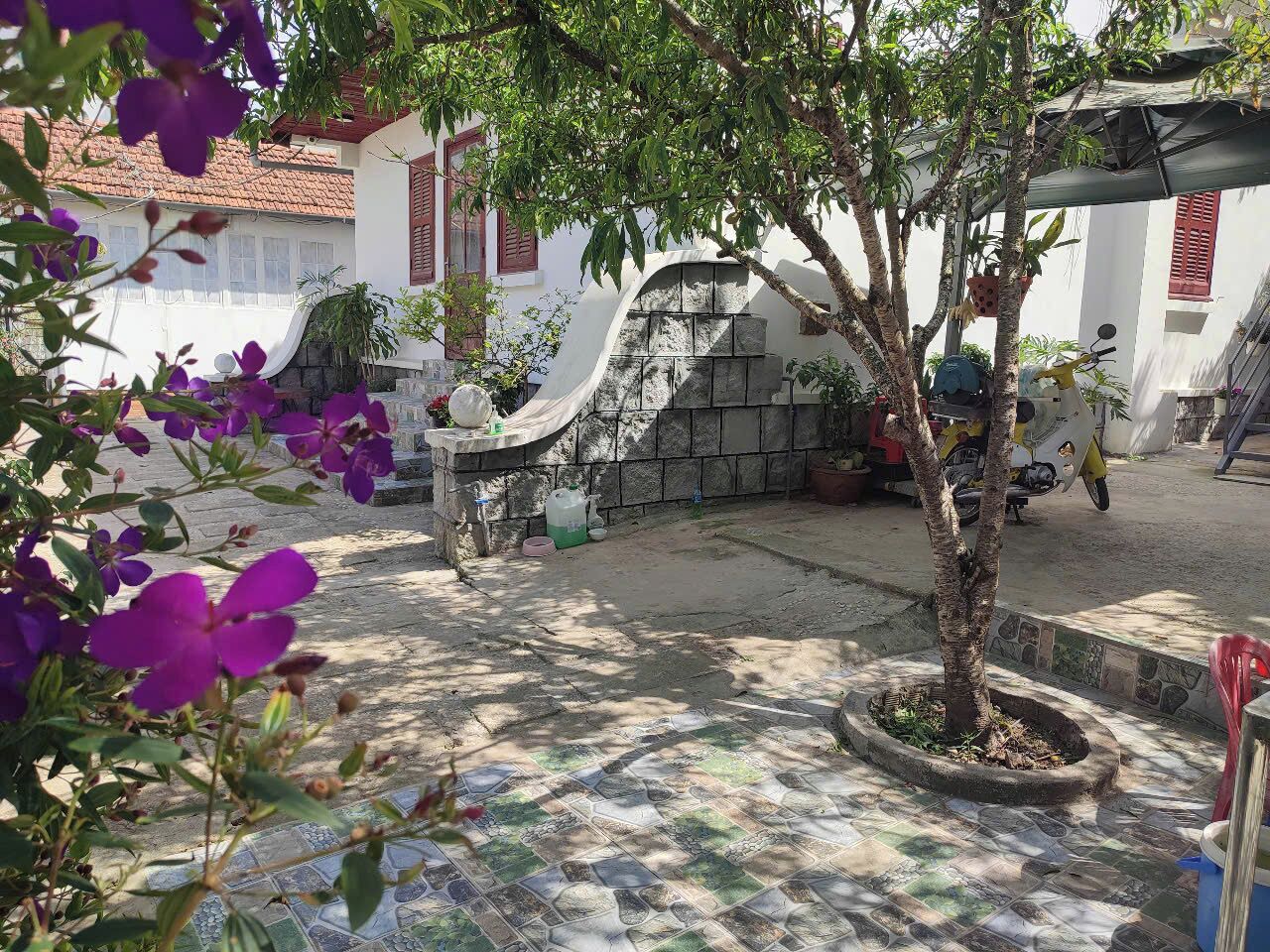 Um pátio com uma árvore, um muro de pedra e piso de azulejos.