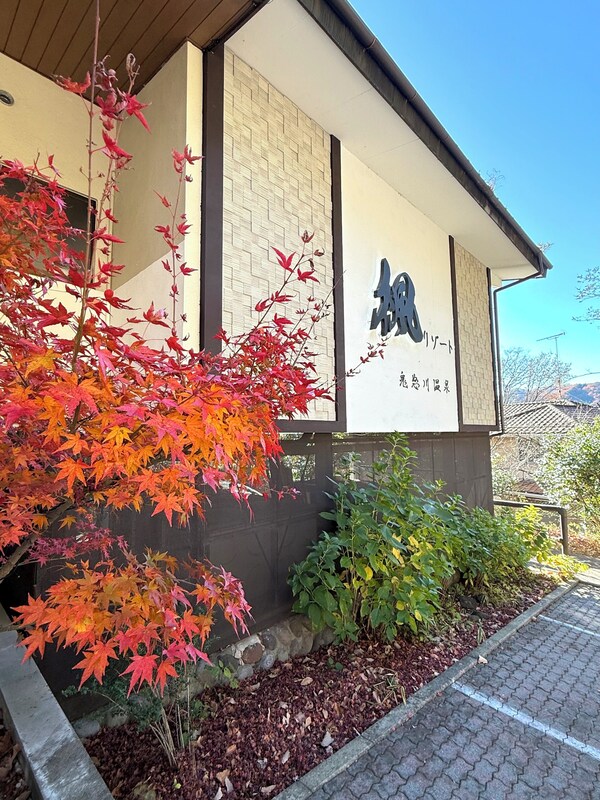 Kaederesort Kinugawaonsen - Nikko