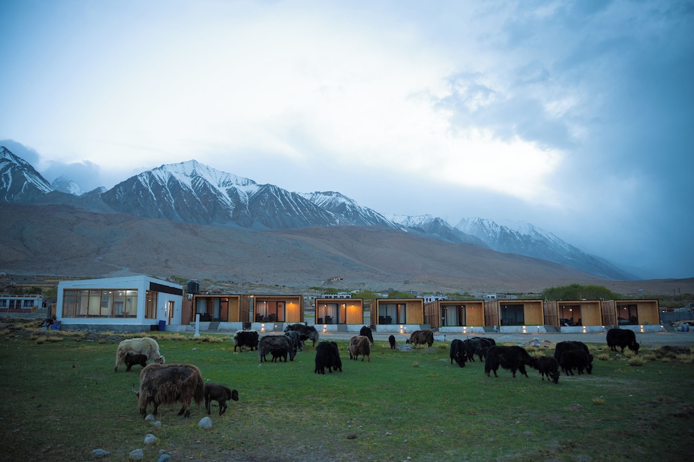 Saser Scenic Pangong -