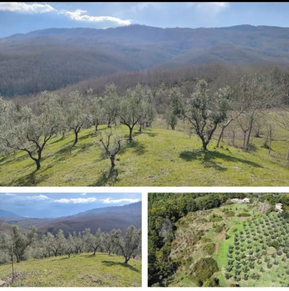 Agriturismo Li Guira - Campania