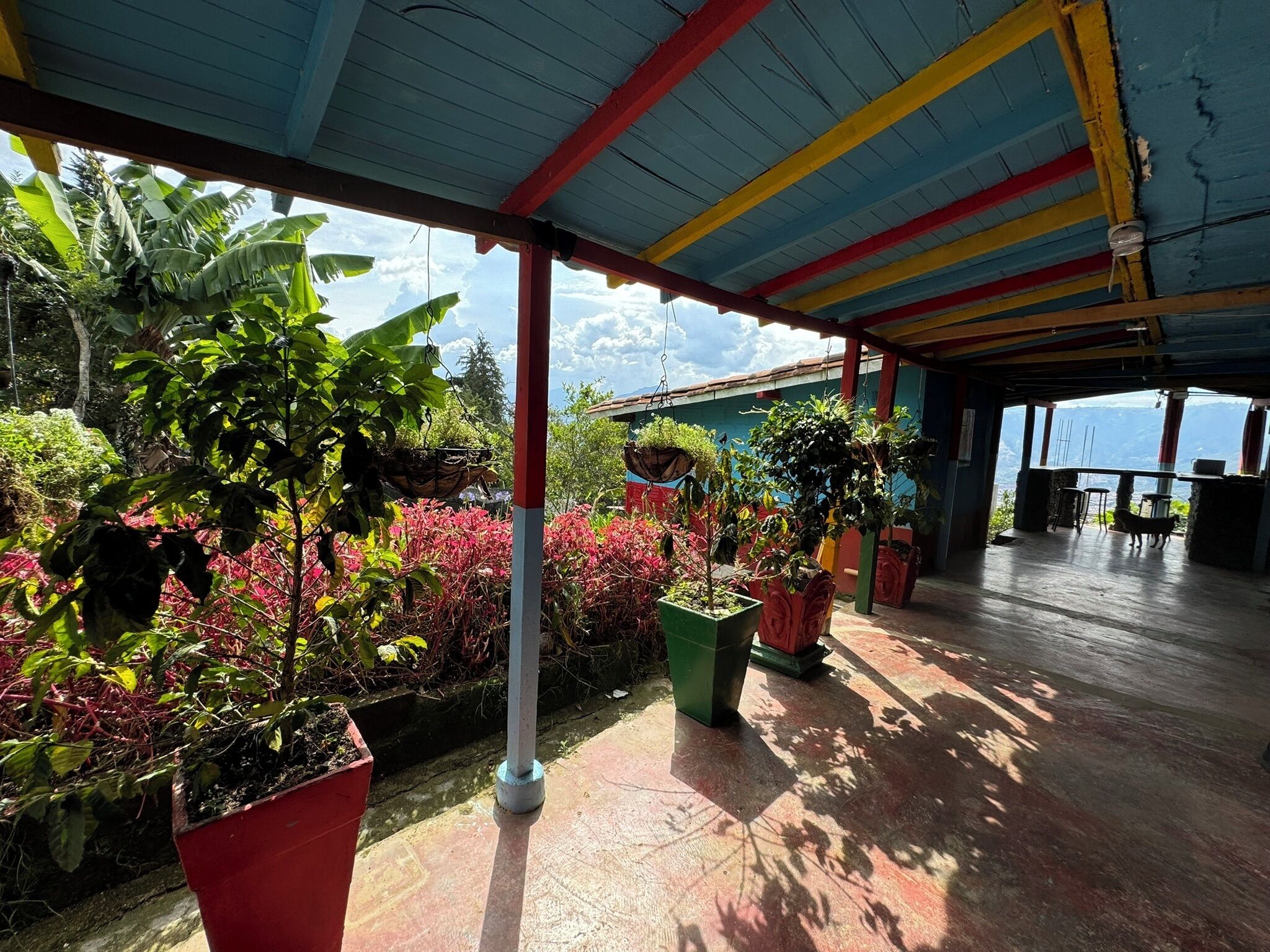 Cabana panorâmico | Terraço/pátio