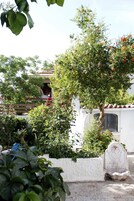 Casa, 2 quartos, acessível, pátio | Jardim