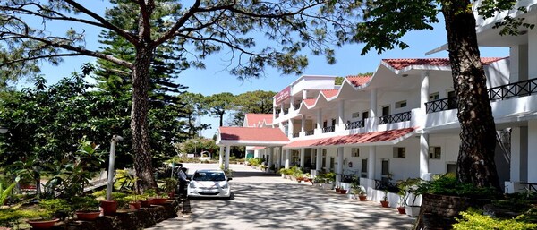 Mountain Quail Morni - Morni