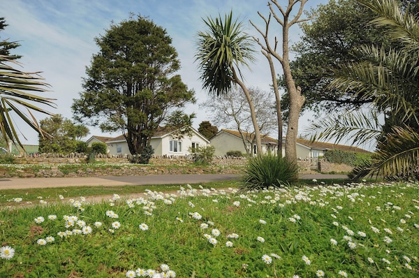 Chalet 33 At Landscove Holiday Park - Devon