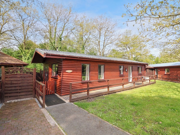 The Blacktail - Gwynedd