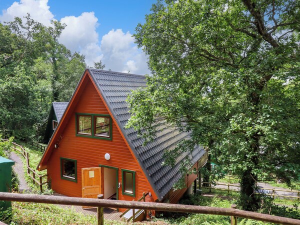 Lodge 45 - Lazy Bear - Bovey Tracey