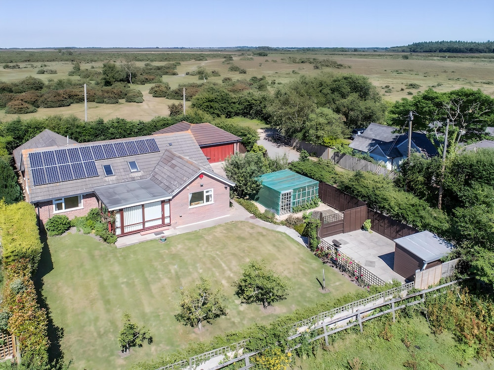 Plummers Water - Brockenhurst