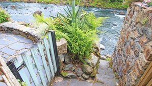 Uma escadaria de pedra que desce até um rio, cercada por vegetação e samambaias.