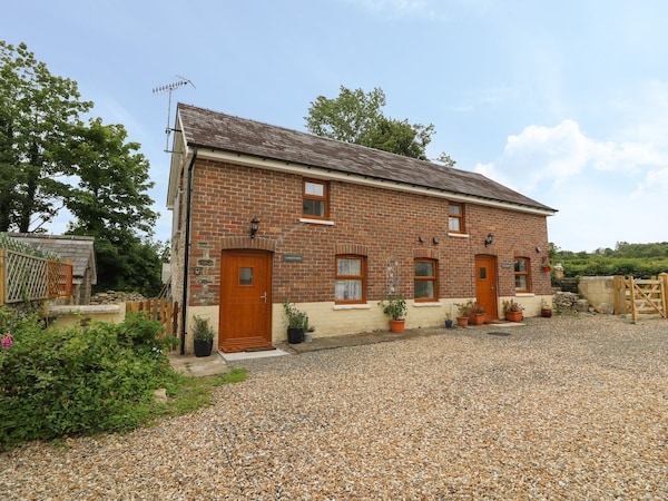 Field View - Ceredigion