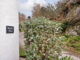 Pormenores do exterior