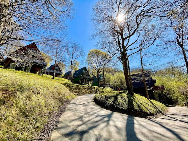 Área da propriedade