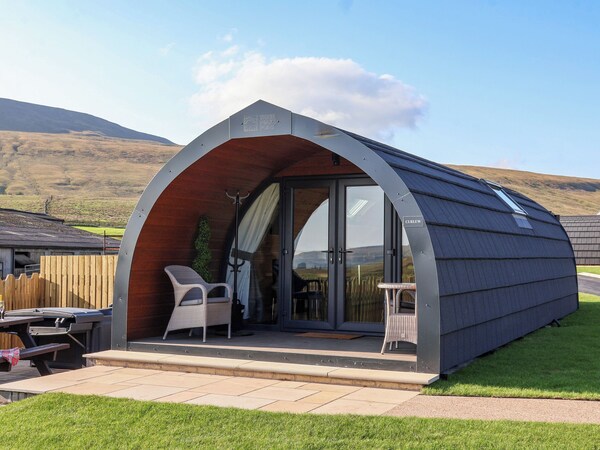 Curlew - Horton in Ribblesdale