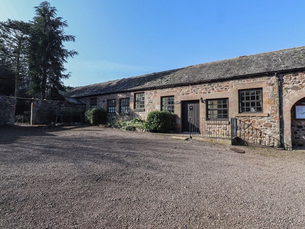 Periwinkle - Northumberland