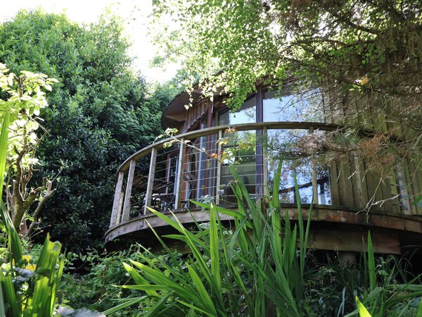 The Bothy - Lyme Regis