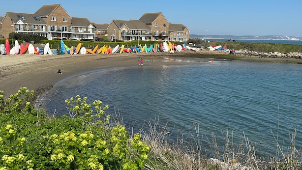 Uma área costeira com uma fileira de pranchas de surf coloridas alinhadas na praia, uma faixa de areia e uma fileira de casas ao fundo.