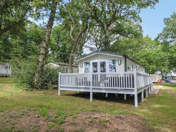 Serenity - New Forest