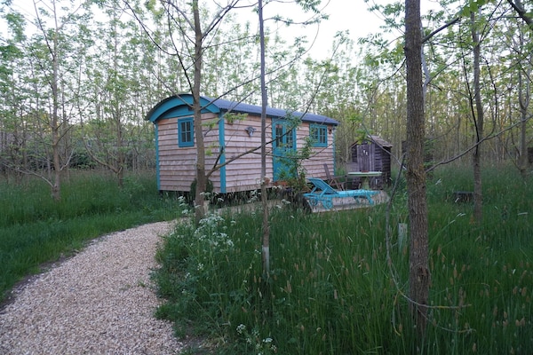 Catchwater - Lincolnshire