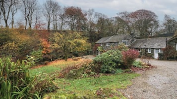 Área da propriedade