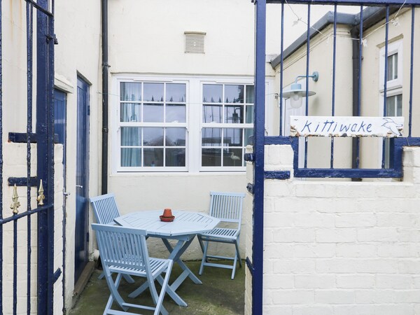 Kittiwake - Scarborough