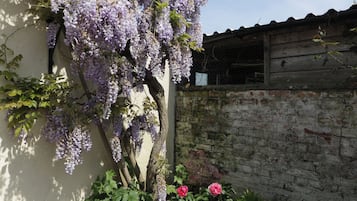 Pormenores do exterior