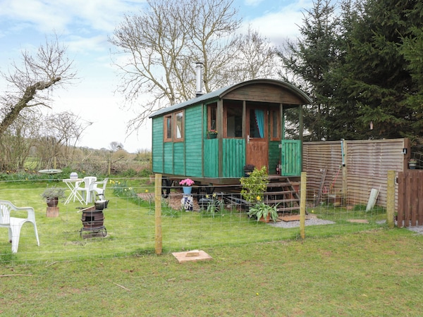 Harri's Hut - Somerset