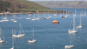 Uma marina com vários veleiros e alguns barcos a motor.