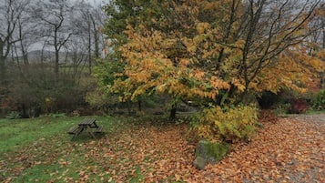 Área da propriedade