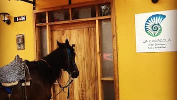 Fachada da propriedade