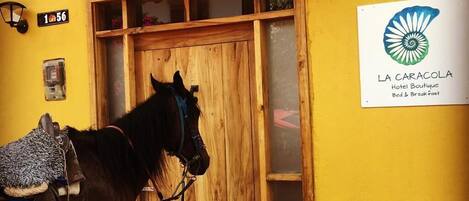 Fachada do alojamento