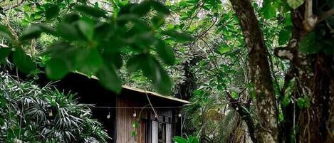 Cabana de Madeira Familiar, vista para a lagoa | Roupa de cama fornecida