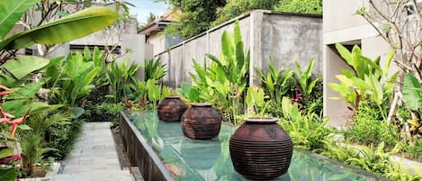 Jardim