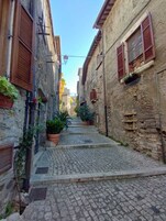 Quartos insonorizados, Wi-fi grátis