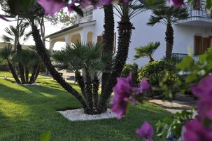Um jardim bem cuidado, com palmeiras e um edifício branco com janelas em arco.