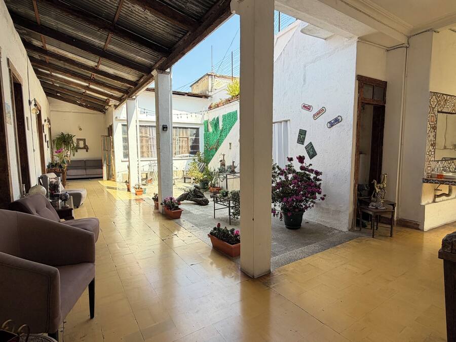 Uma sala de estar ampla com um sofá, plantas em vasos e vista para a rua.