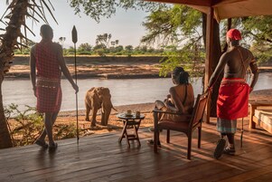 Suite Deluxe, vista para o parque | Vista do quarto