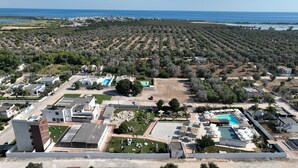 Vista aérea de um resort costeiro com várias villas, uma piscina e um grande olival.