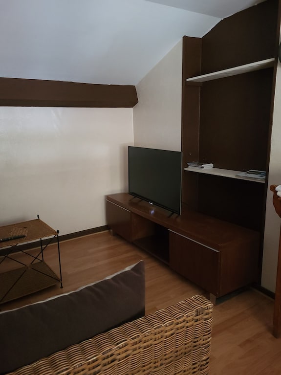 Suite En Bord De Loire (Apt N°23) - Roanne